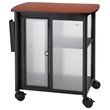 Enclosed Cabinet Carts, Enclosed Storage, Enclosed Mobile Transport ...